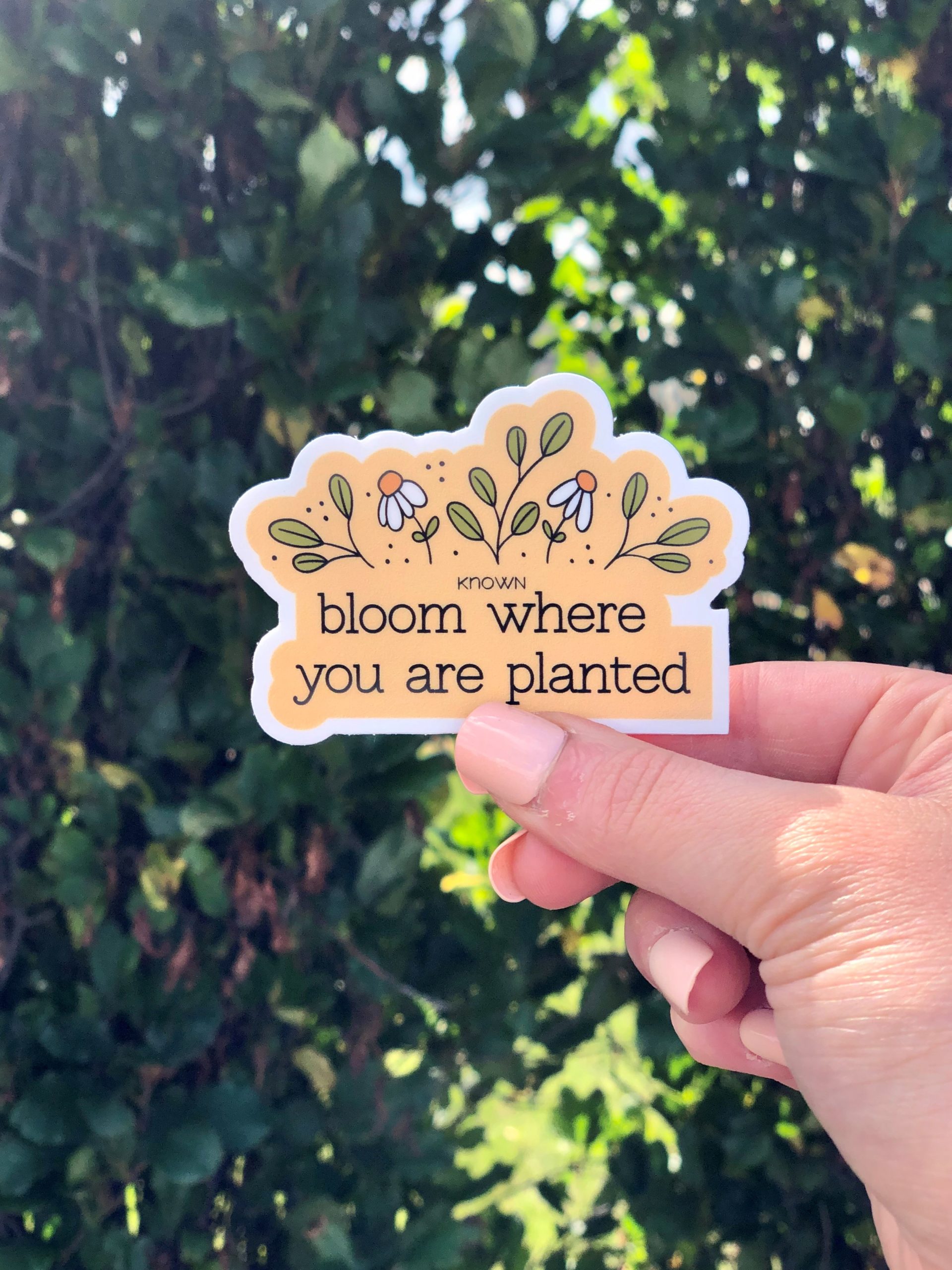 Bloom Sticker | Known Women’s ConferenceKnown Women’s Conference